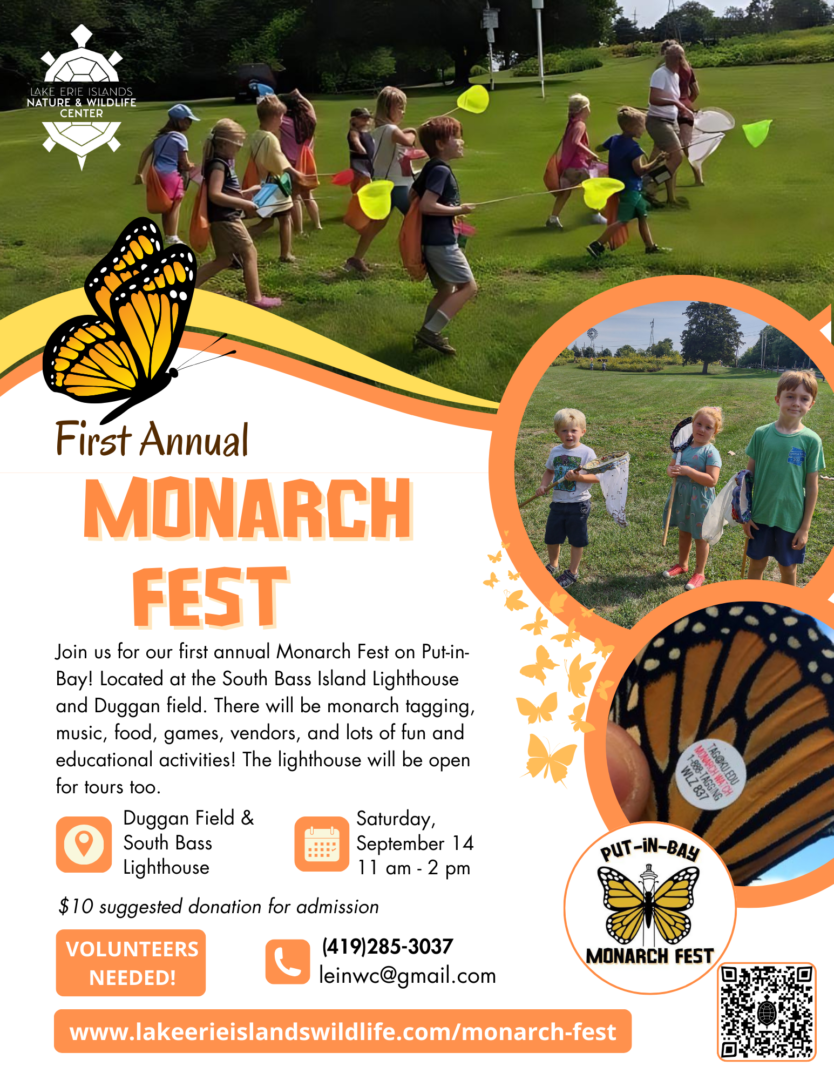 Monarch Fest – Lake Erie Islands Nature & Wildlife Center